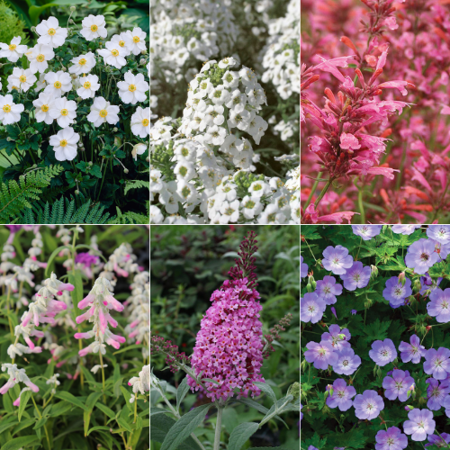 Best Sellers – Planters Patch