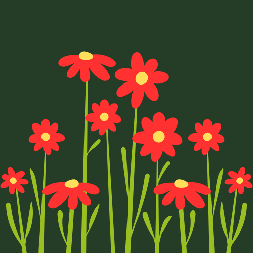 Red Flowering Plants – Planters Patch