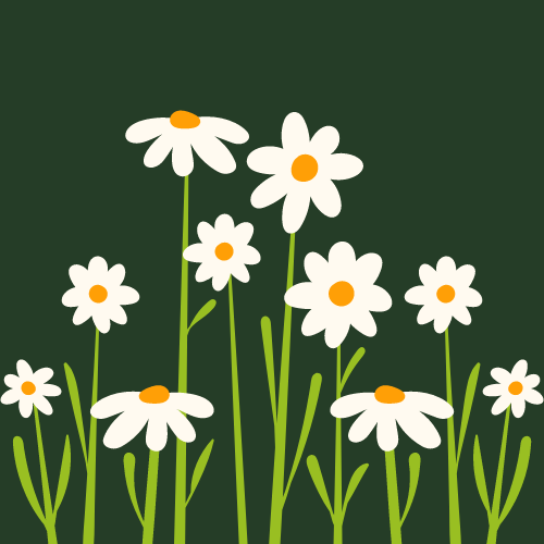 Collections – Planters Patch